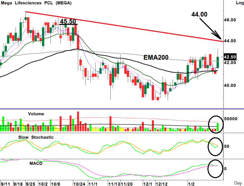 Trade Code : หุ้นแนะนำประจำวันที่19 มกราคม 2567 : Buy > MEGA, TOP, TRUE