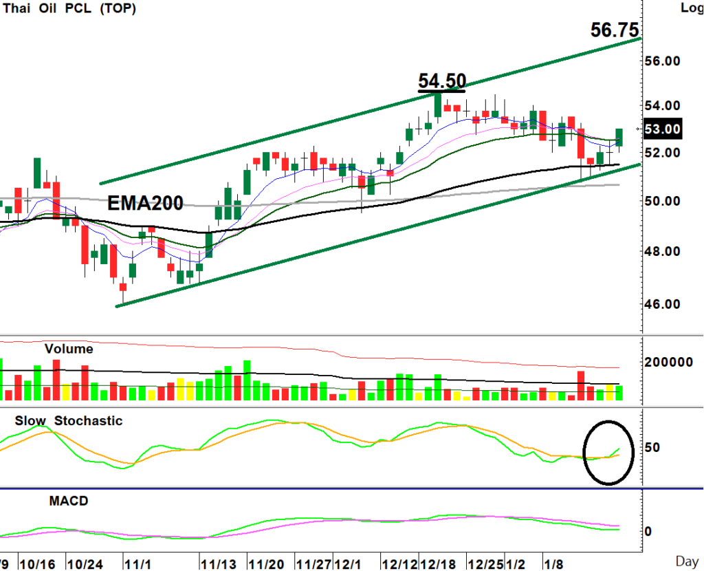 Trade Code : หุ้นแนะนำประจำวันที่19 มกราคม 2567 : Buy > MEGA, TOP, TRUE